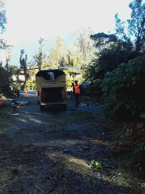 Gallery | Qualified Canterbury Arborists | Total Trees